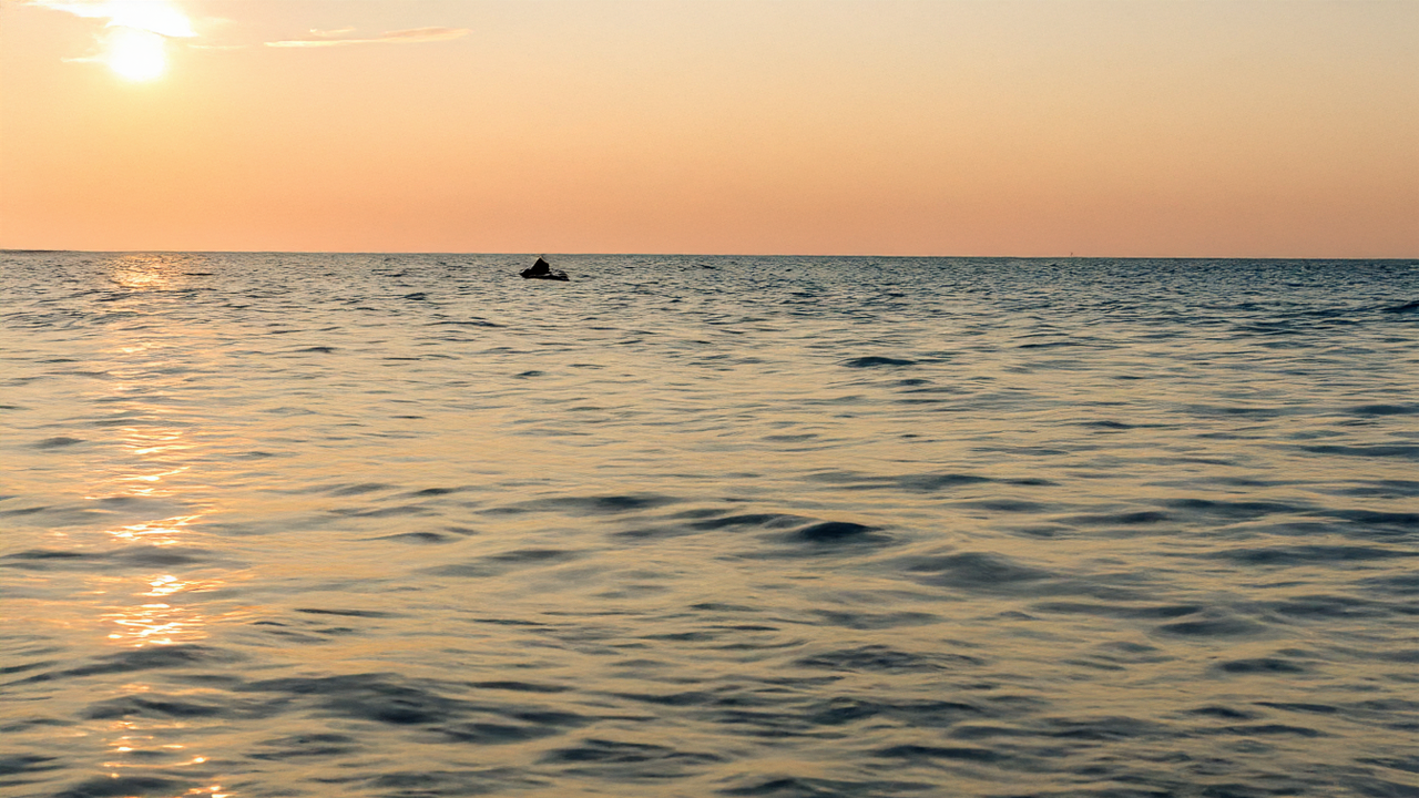 シッパイ - 三橋龍起 / Tatsuki Mitsuhashi Official